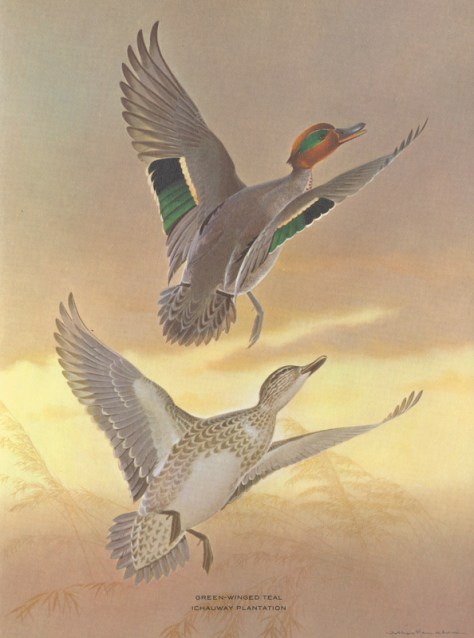 2016 | Emory Historian's Blog